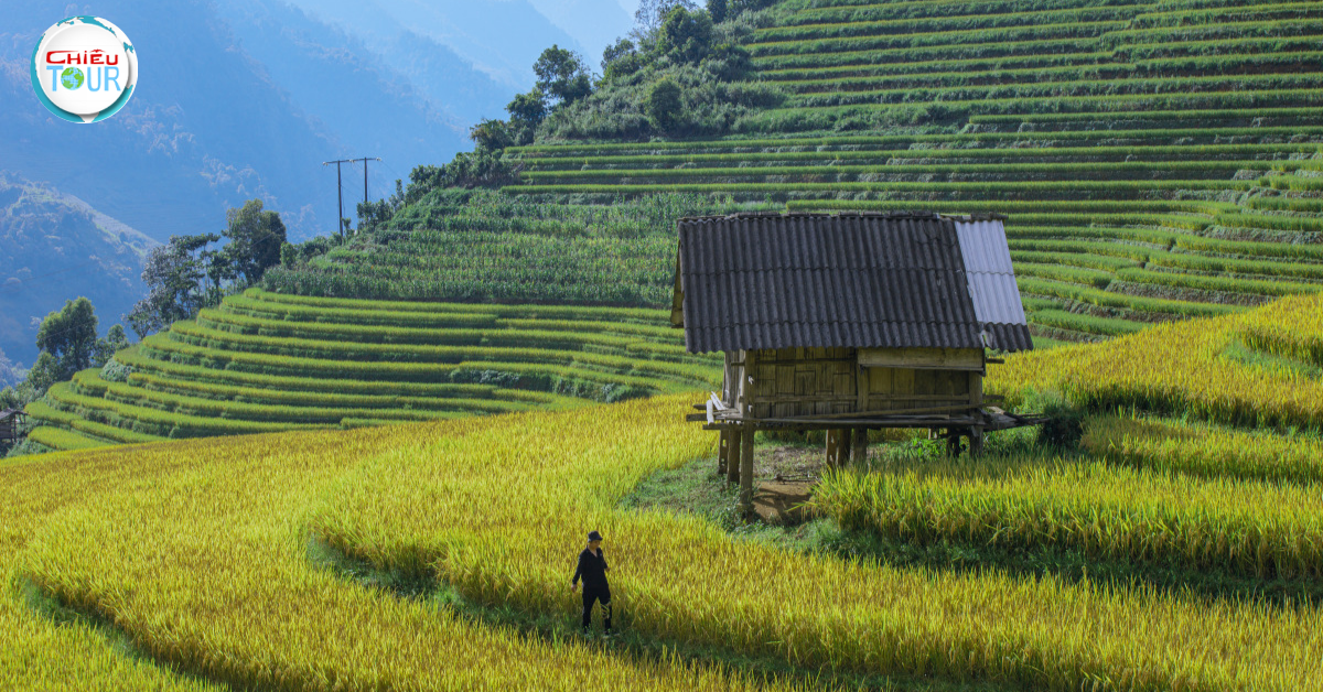 Tả Van Village