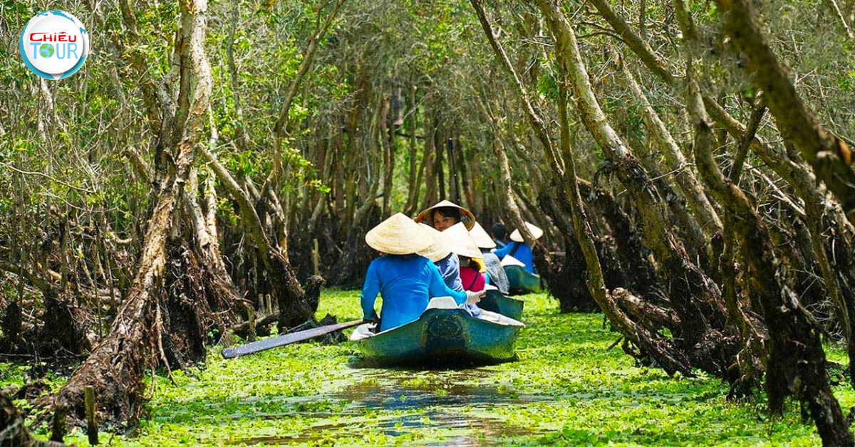 TRA SU CAJUPUT FOREST